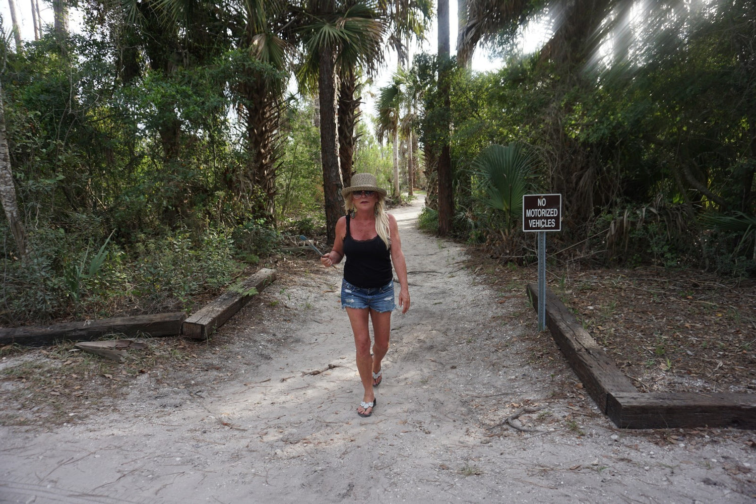 MarySissonArt Coastsl Artist